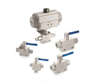 Resources | Catalogs | Valves | Swagelok